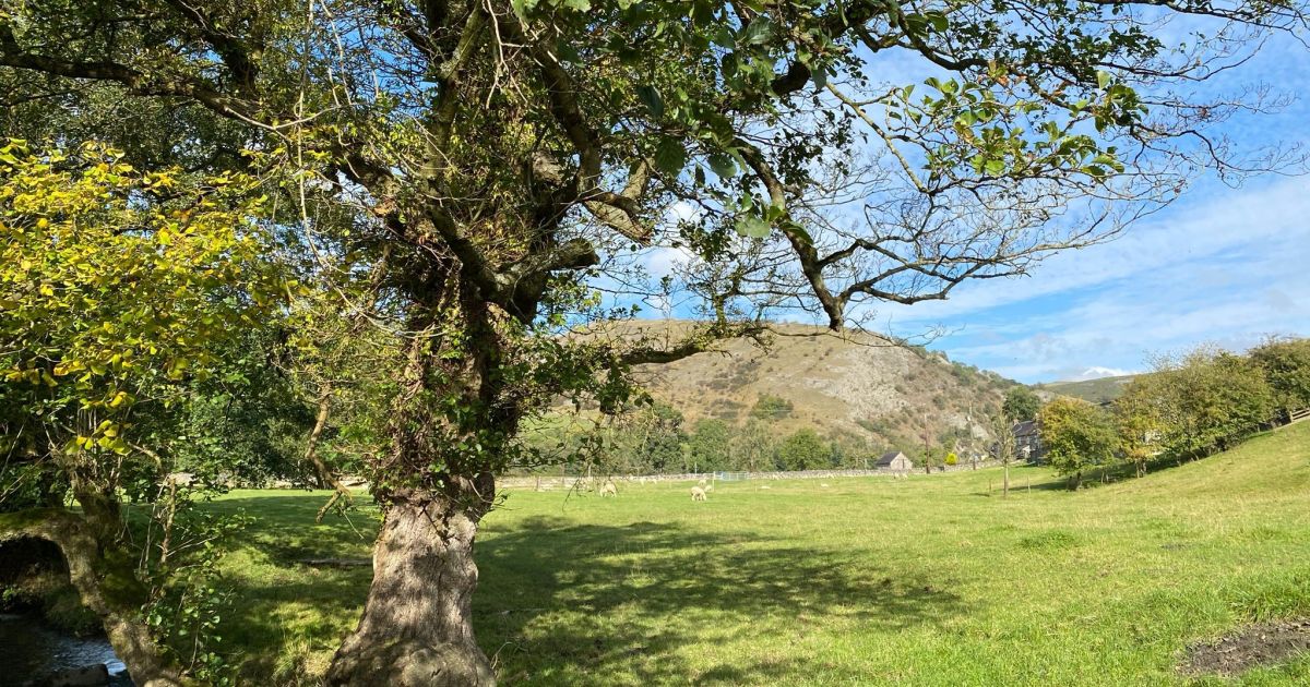 Ashbourne & Dovedale, Derbyshire (best viewed in your browser, not the app) - Ramblers
